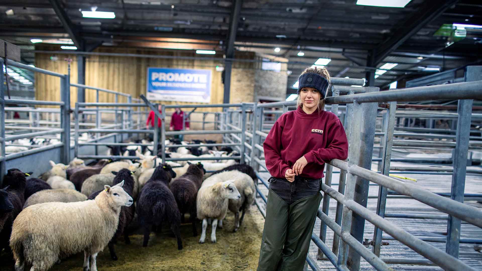 General Farm Worker Apprenticeship Course - Craven