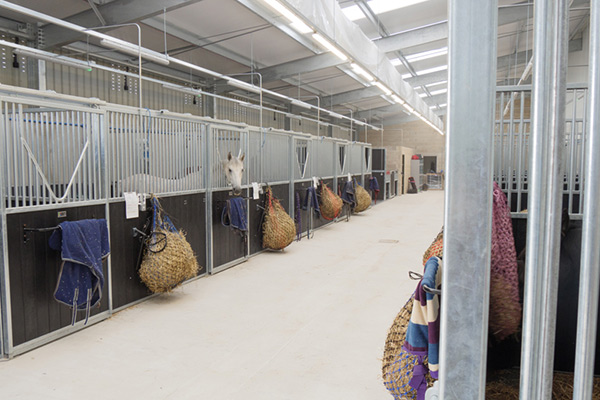 We’ve moved in! Craven Equine - Craven