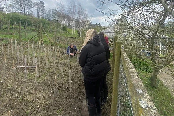 Planting Trees on Campus - Craven