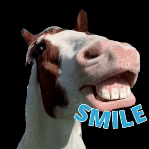 Profiles – Craven College